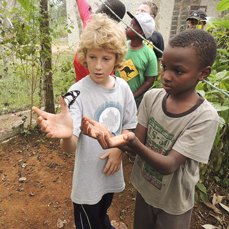Haven of Peace rainforest | Mission Finder