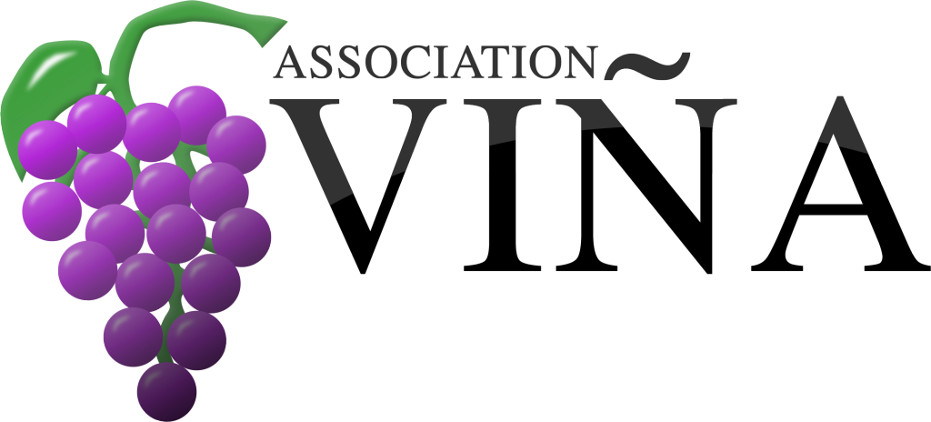Viña Logo EN | Mission Finder